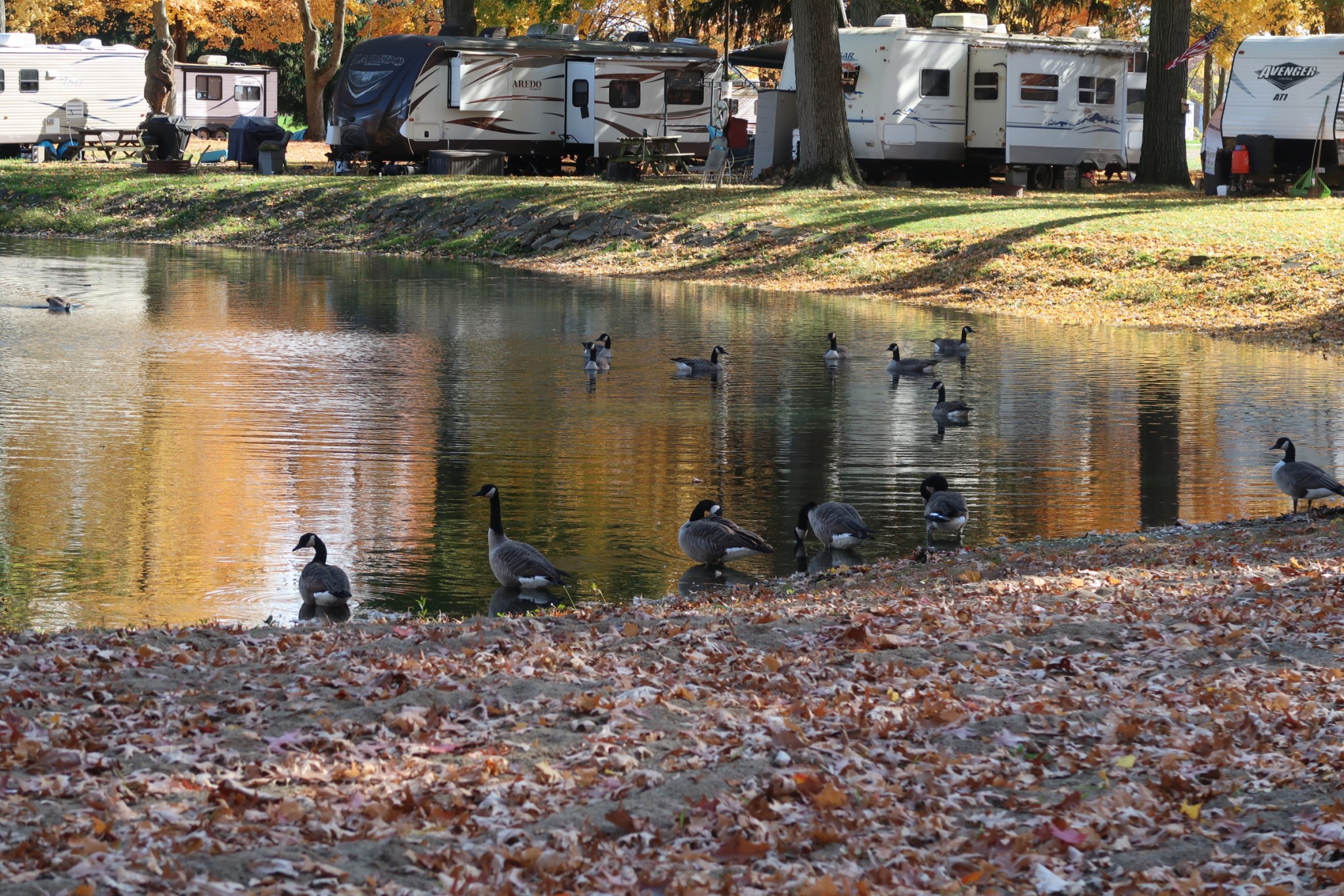 Booking – Meadow Lake Park
